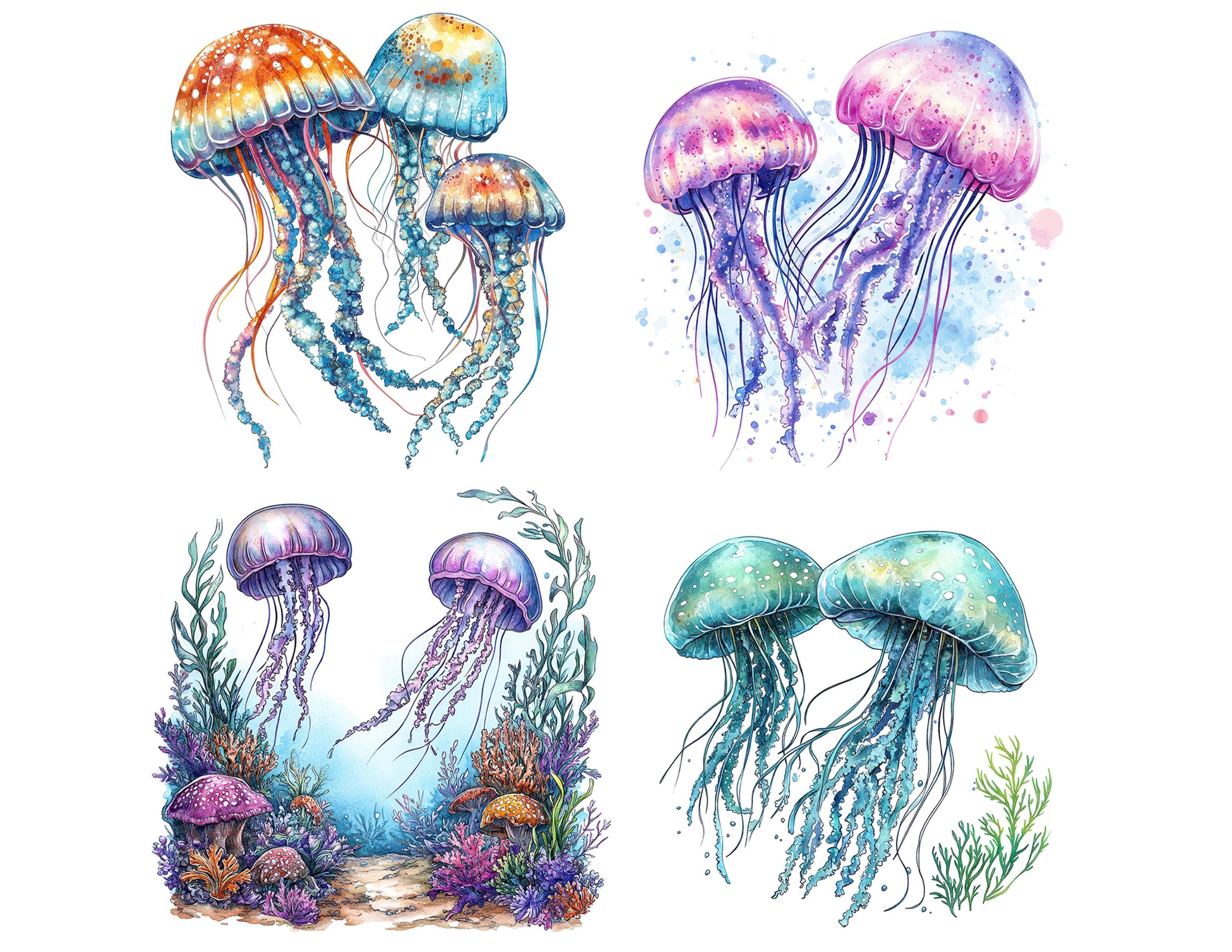 12x Marine Jellyfish PNG Clipart, Watercolor Sea Life Clip Art Set ...