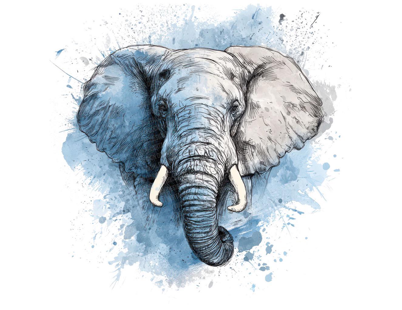 12x Elephant Head PNG Clipart, Watercolor Elephant Clip Art Set ...