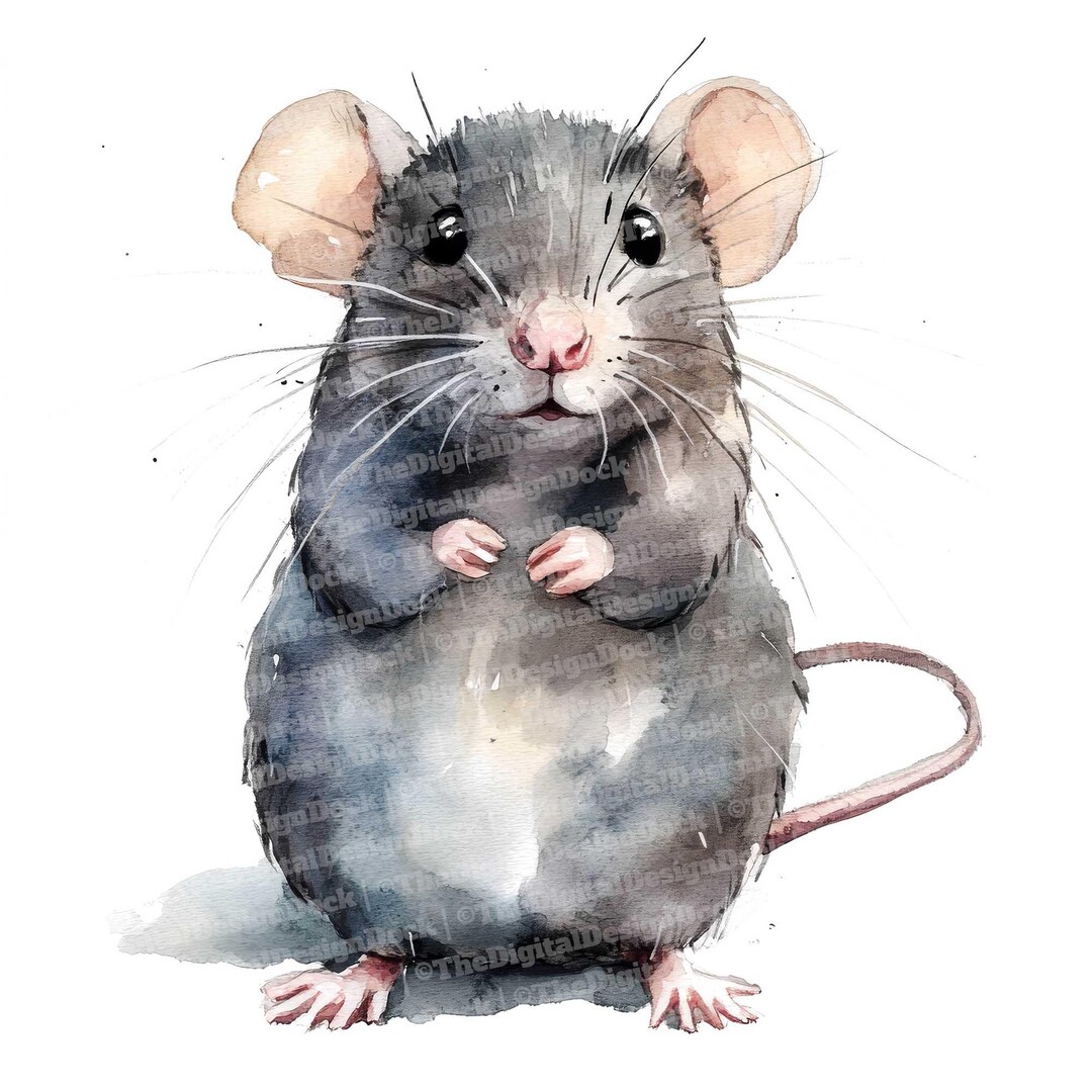 Rat Clip Art, 12x Watercolor Pet Rat Clipart Set, Printable Rat Art ...