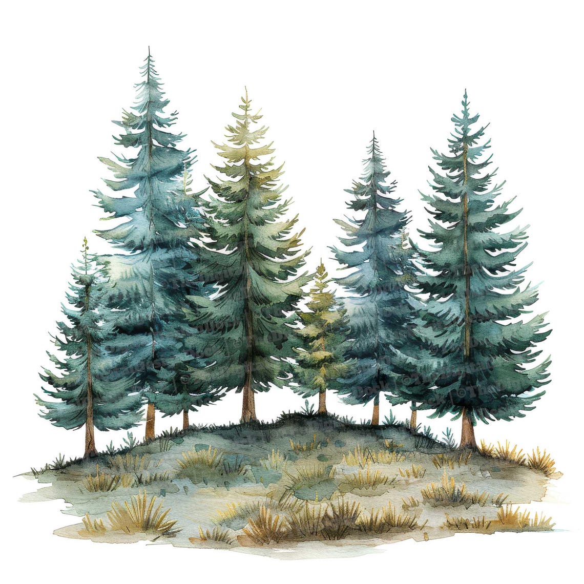 12 Pine Forest Clipart, Evergreen Trees Clipart, Printable Forest ...