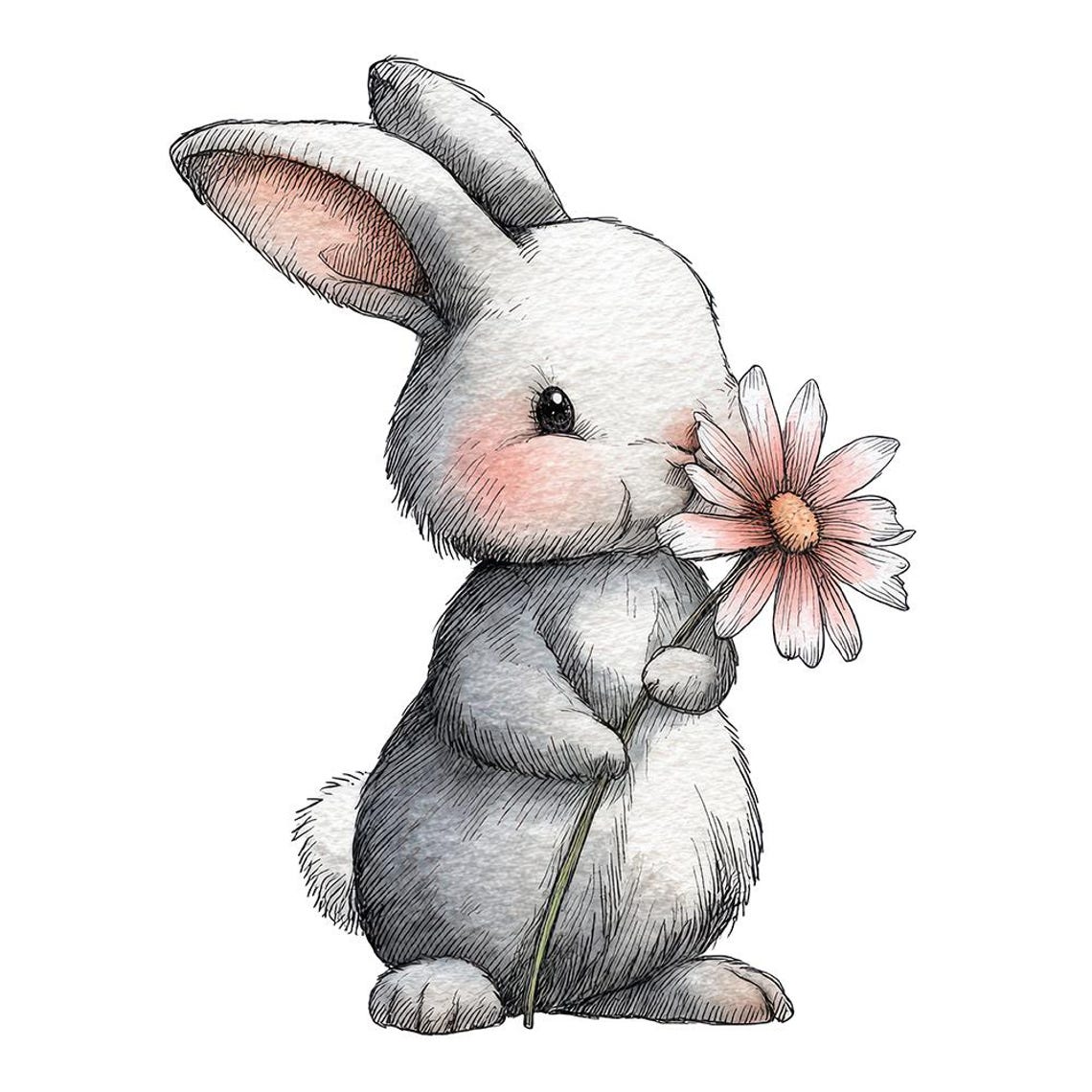 Rabbit PNG Clipart, 12 Daisy Bunny Clip Art Set, Printable Watercolor ...