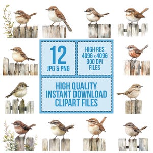 Wren PNG Clipart, 12x Birds on Fence Clip Art Set, Printable Watercolor ...