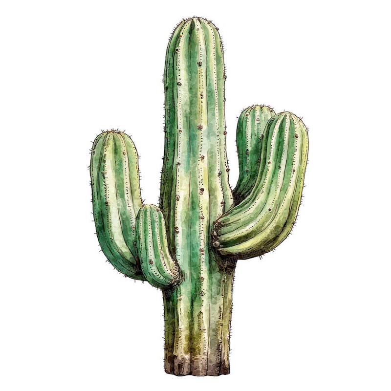 Paper Template Cactus - Etsy UK