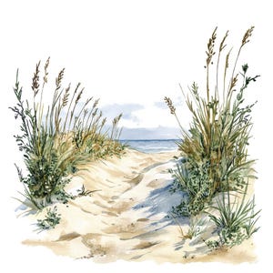 12x Sand Dune PNG Clipart, Watercolor Coastal Grass Clip Art Set ...