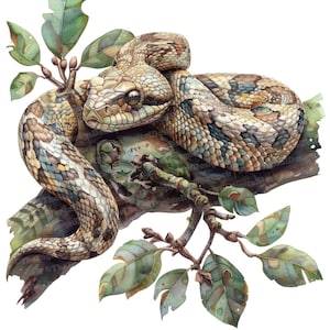 12x Snake in Tree Clipart, Reptile Tree Clipart, Printable Watercolor ...