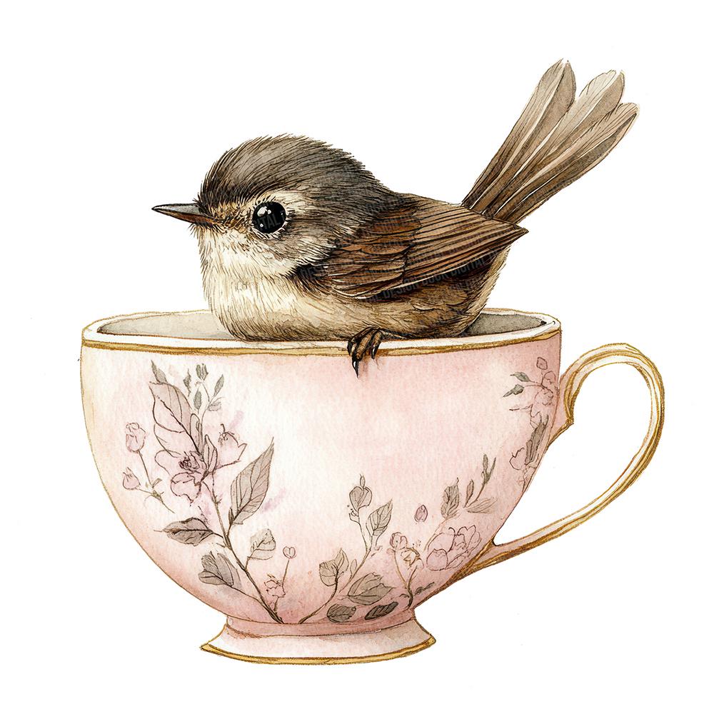 Wren in Pink Teacup PNG Clip Art, 12x Bird Clip Art Set, Printable ...
