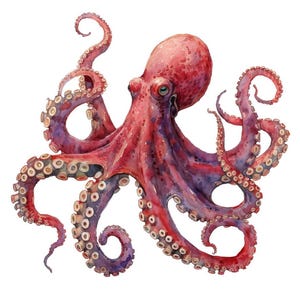 Octopus Clipart, 12x Watercolor Ocean Creature PNG Set, Printable Sea ...