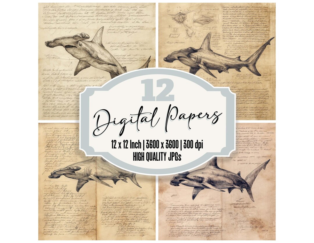 12 Hammerhead Shark Sketch Digital Paper Vintage Junk Journal Paper ...