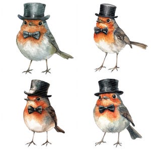 12x Robin in Top Hat PNG Clip Art, Watercolor Bird Clipart PNG Set ...