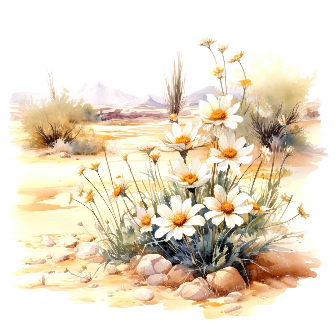 12x Daisies in Desert Clipart, Daisy Oasis, JPG Clipart, Printable Watercolor Clipart, Wall Art ...