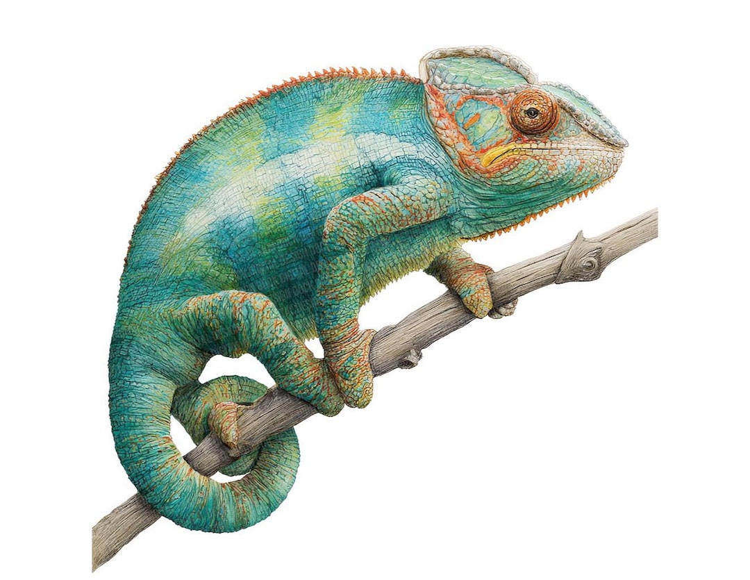 Watercolour Chameleon PNG Clipart, 12x Tropical Lizard Clip Art Set ...