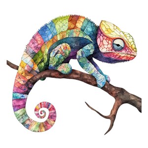 Neon Chameleon PNG Clipart, 12x Colorful Reptile Clip Art Set ...