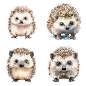 Hedgehog PNG Clipart, 12x Woodland Animal Clip Art Set, Printable ...