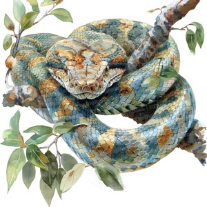 12x Snake in Tree Clipart, Reptile Tree Clipart, Printable Watercolor ...