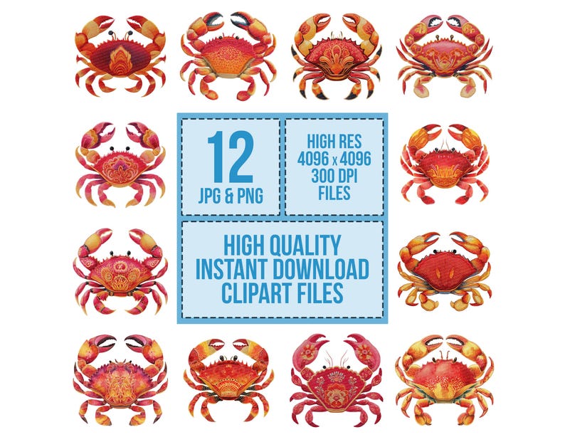 12x Nautical Crab PNG Clipart, Fabric Style Ocean Animals Clip Art Set ...
