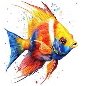 12 Tropical Fish Clip Art Pngs, Colorful Marine Life Illustrations ...