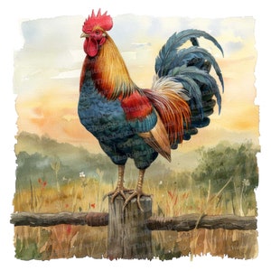 12x Farm Cockerel Clipart, Farm Fence Clipart, Printable Watercolor ...