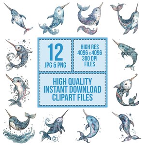 Folk Narwhal Clip Art, 12x Narwhal With Stars PNG Clipart Set ...