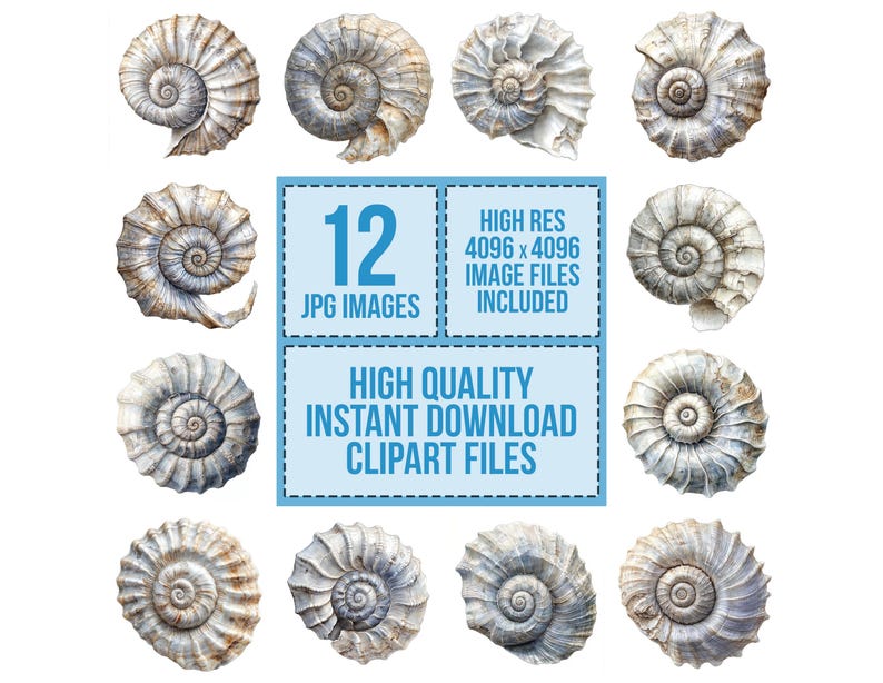 12x Fossil Ammonite Clipart, Vintage Shell Fossils, Printable ...