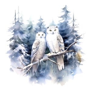 Snowy Owl Clipart, 12 Jpgs, Winter Snow Owls Clip Art, Printable Image ...