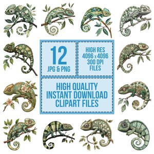 12 Chameleon Watercolor PNG Clipart, Folk Art Reptile Clip Art Set ...