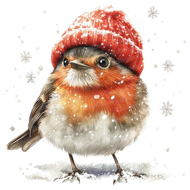 Christmas Robin Clip Art, 12x Winter Bird Clipart Set, Red Hat Robin ...