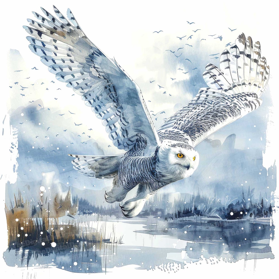 Snowy Owl Clipart, 12 Jpgs, Winter Snow Owls Clip Art, Printable Image ...