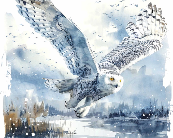 15 Snowy Owl Clipart | Majestic Winter Owl Illustrations for Nature ...