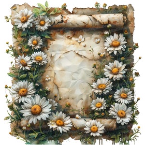 Daisy Scroll Clipart 12 Jpgs Vintage Floral Scroll Clipart Printable