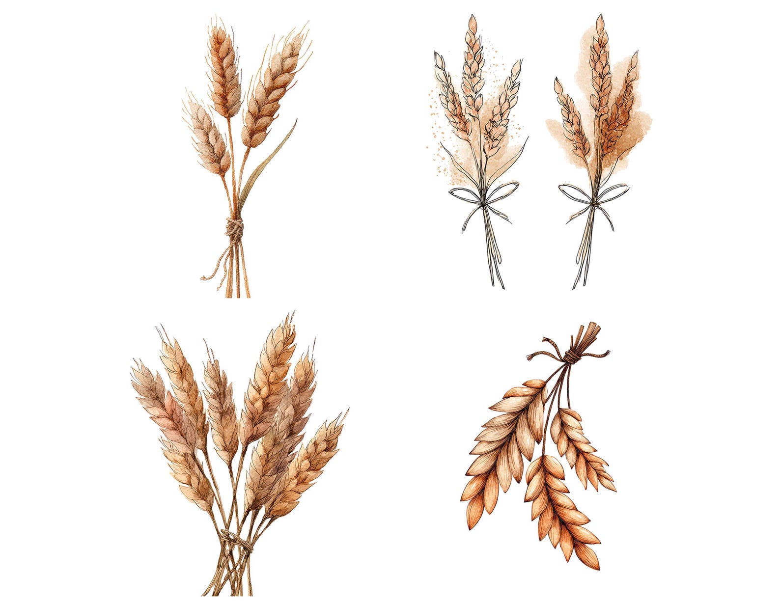 Boho Wheat Stalks Clipart, 12x Watercolor Harvest Bundle PNG, Rustic ...