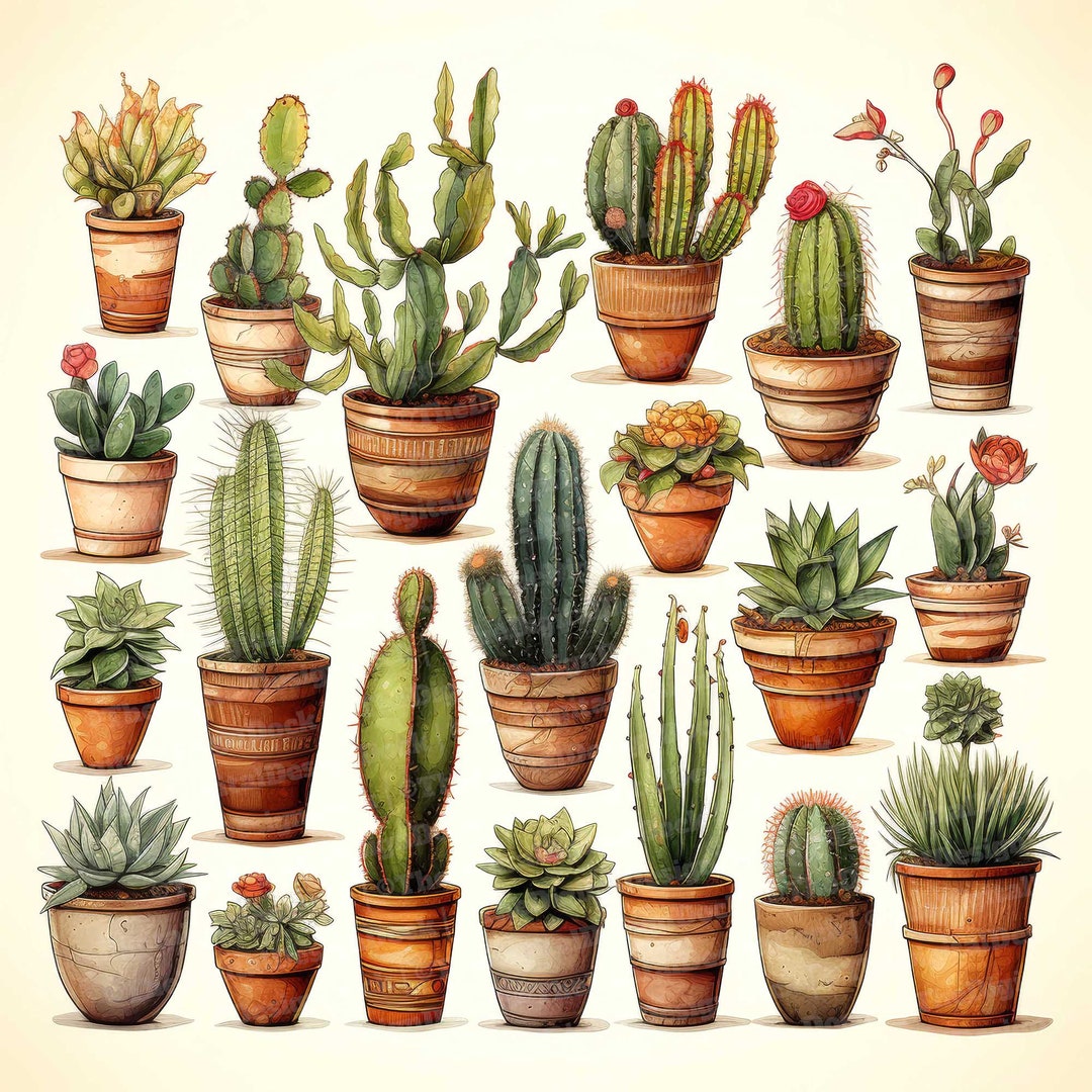 12x Potted Cactus Clipart, Pot Plants Floral Clipart, Printable ...