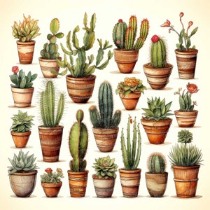 12x Potted Cactus Clipart, Pot Plants Floral Clipart, Printable ...