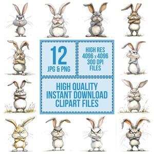 Grumpy Rabbit PNG Clipart, 12x Angry Bunny Clip Art Set, Printable ...