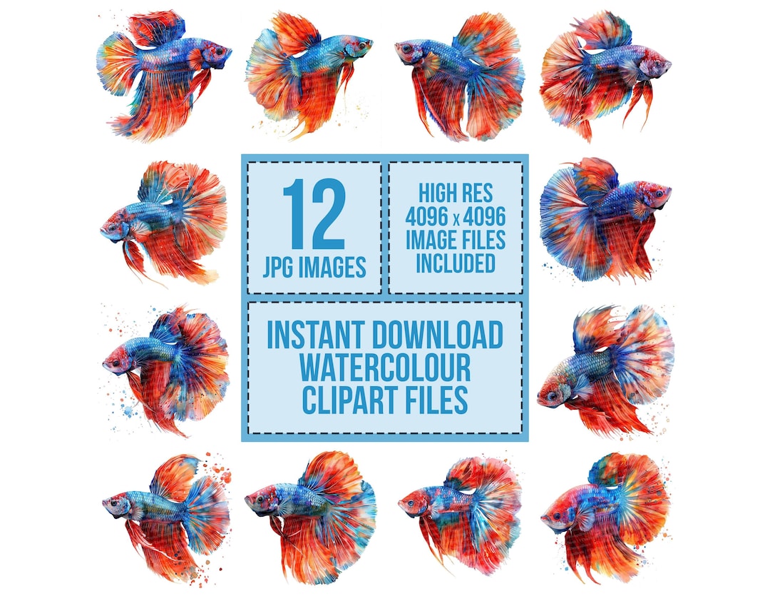 12 Betta Fish Clipart, Watercolor Fish Clipart, Printable Watercolor ...