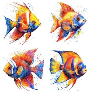 12 Tropical Fish Clip Art Pngs, Colorful Marine Life Illustrations ...