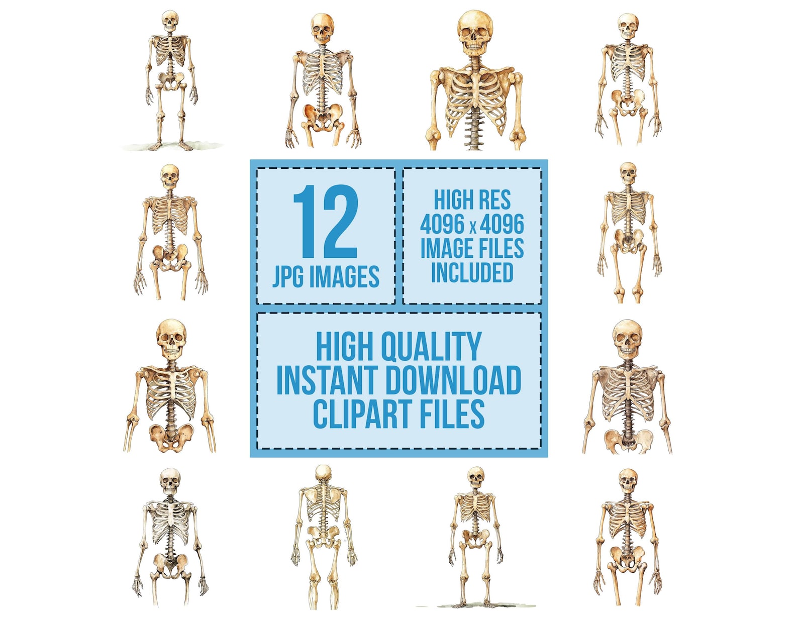 12x Skeleton Anatomy Clipart, Human Skull, Watercolor Human Body Art ...