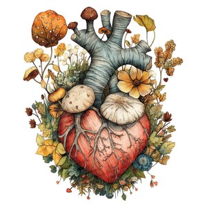 Forest Heart PNG Clipart, 12x Woodland Mushroom Heart Clip Art Set ...
