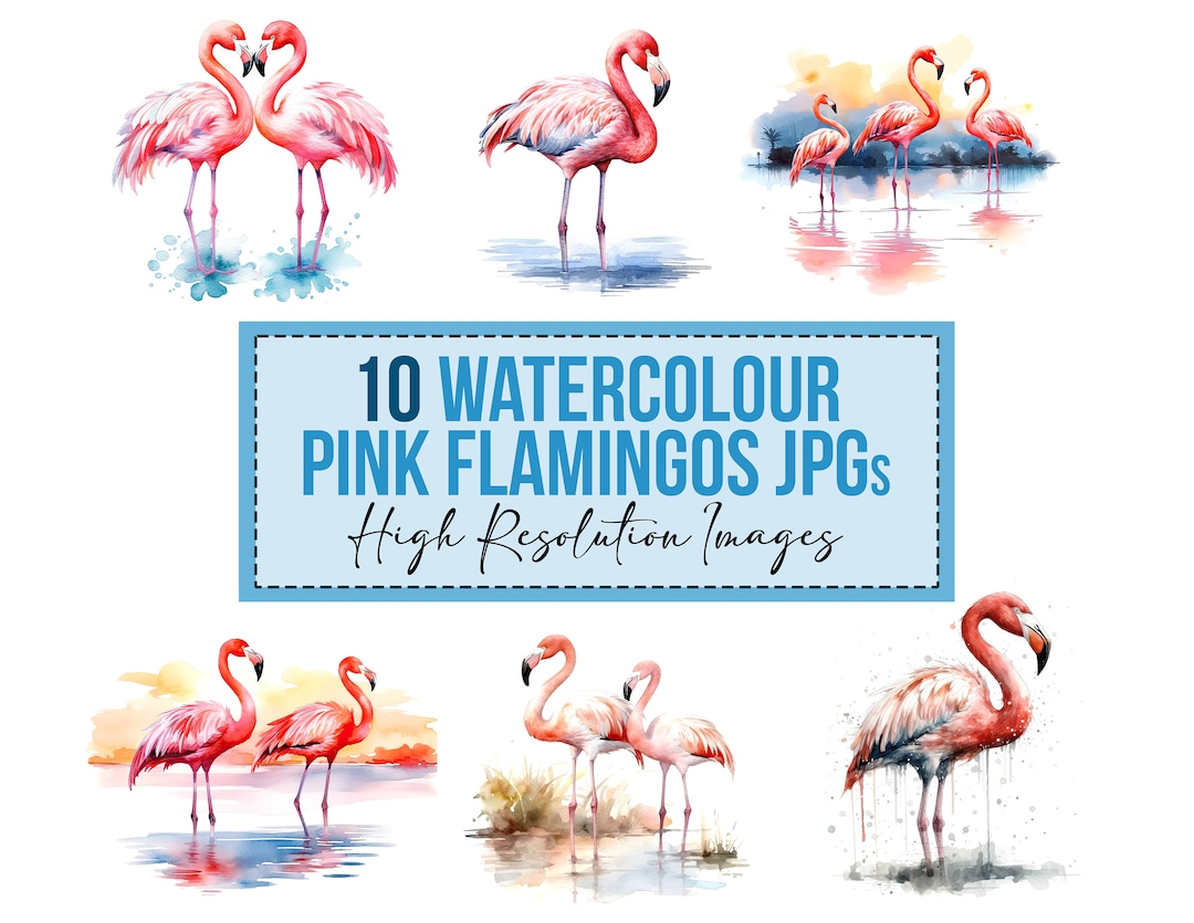 10x Flamingo Watercolor Pink Flamingos JPG Digital Clip Art Bundle ...