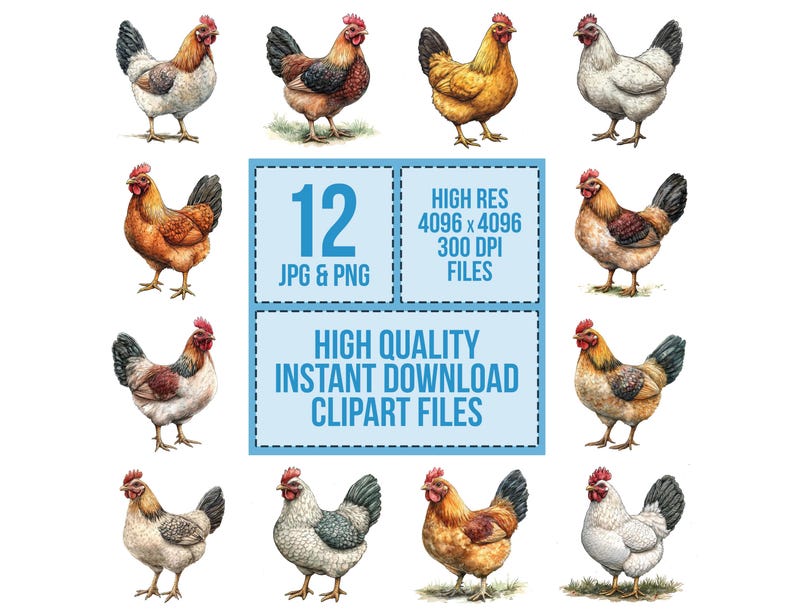 Chicken PNG Clipart, 12x Farm Animals Clip Art Set, Printable ...
