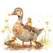 12x Mother Duck Clipart, Ducklings Watercolour Clipart, Printable ...