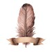 Feather PNG Clipart, 12x Ribbon Banner Feather Art Set, Printable ...