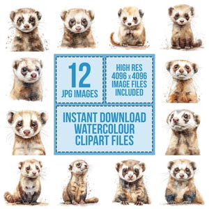 12 Ferret Clipart, Watercolor Small Animal Clipart, Printable Watercolor Clipart, Paper Crafts ...