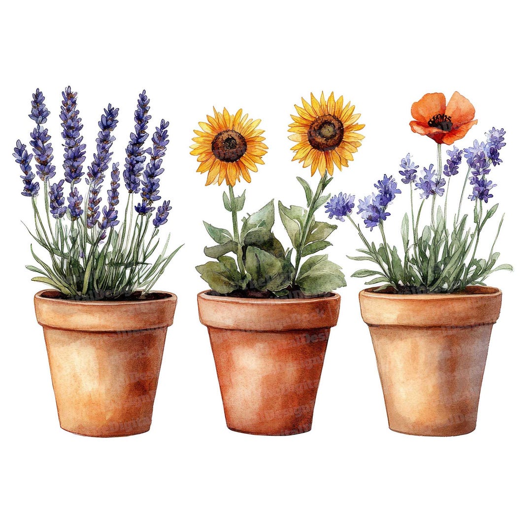 12 Watercolor Potted Flowers Clipart, Terracotta Pots With Wildflowers ...