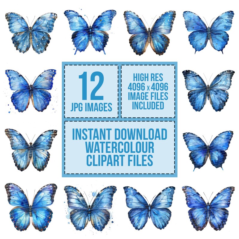 Morpho Butterfly - Etsy