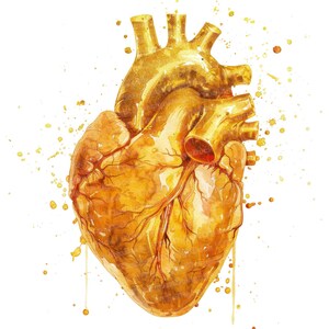 12x Gold Human Heart Clipart, Golden Hearts Clipart, Printable ...