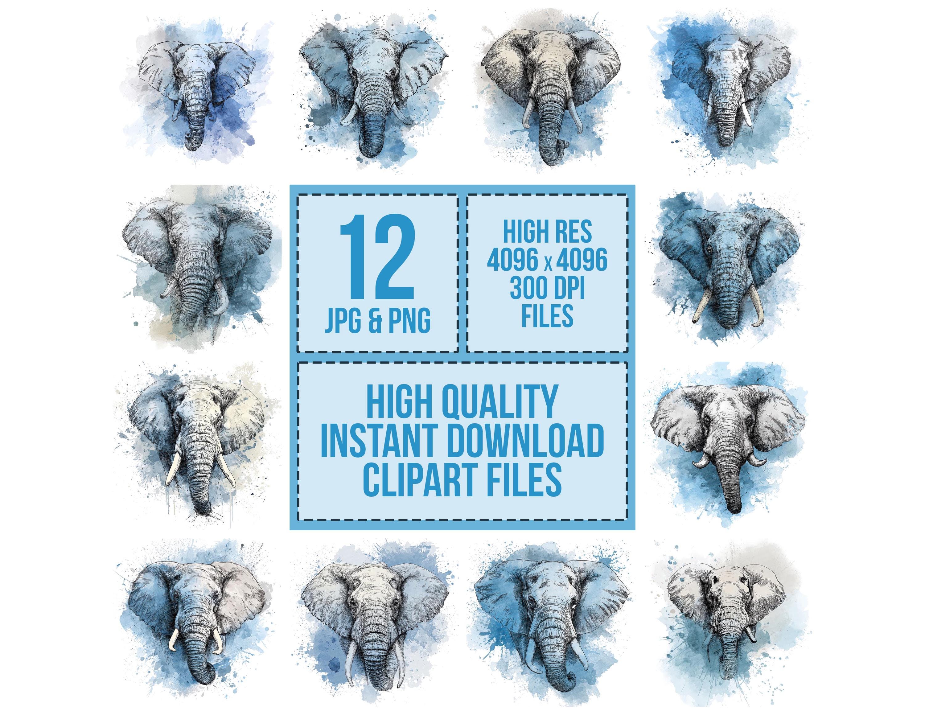 12x Elephant Head PNG Clipart, Watercolor Elephant Clip Art Set ...