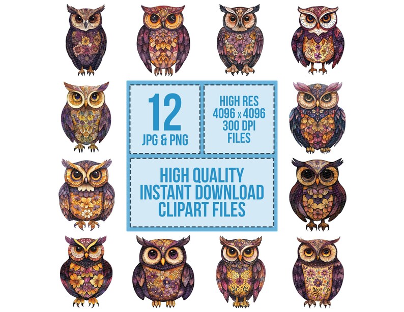 Folk Owl With Florals PNG Clipart, 12x Floral Owl Clip Art Set ...