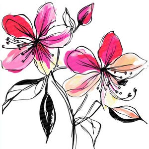 Pink Flower PNG Clip Art, 12x Fuchsia Abstract Floral Clipart Set ...