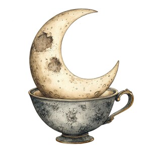 Moon in Teacup PNG Clip Art, 12x Celestial Cup Clipart PNG Set ...