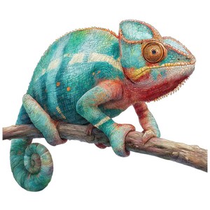 Watercolour Chameleon PNG Clipart, 12x Tropical Lizard Clip Art Set ...